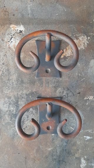 Appendini