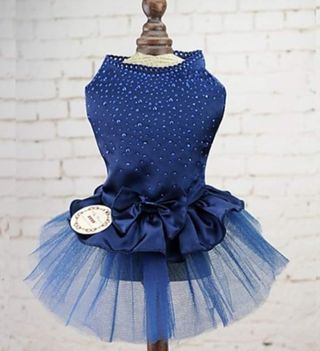 vestito di carnevale per il cane