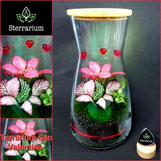 Terrarium "San Valentino"
