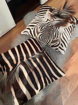 Cuscini in vera zebra
