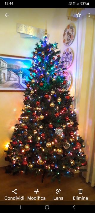 Albero di  Natale grande