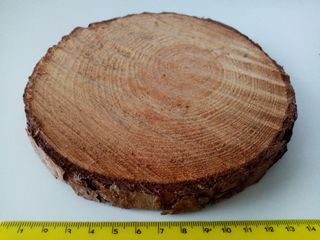 Fette di tronchi (5 pezzi)