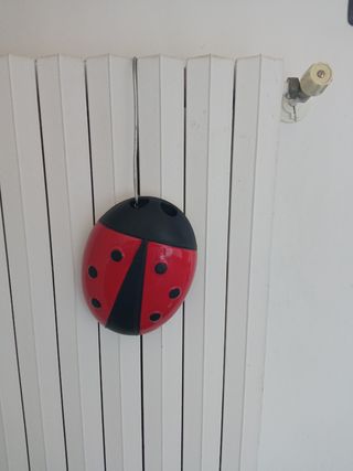 Umidificatore coccinella 🐞