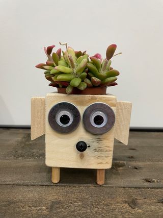 Vaso in legno per piccole piante grasse