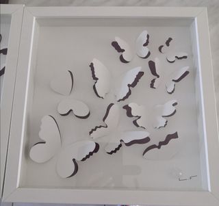 due quadretti farfalle