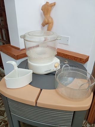 vaporiera elettrica
