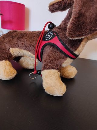 Pettorina Treponti xs 