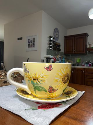 Portafrutta Tazzone di Caffè 