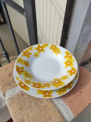 Set 12 piatti porcellana Sucit