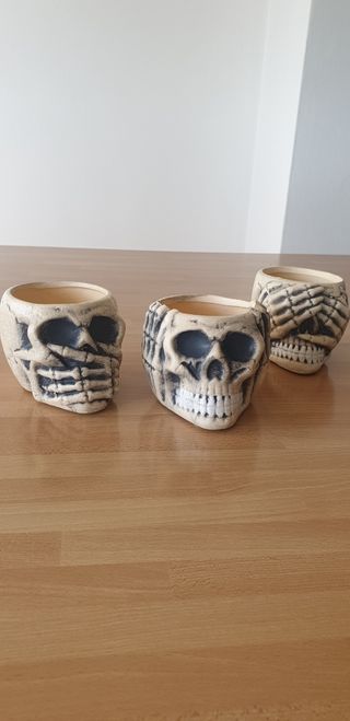 vasetti teschio