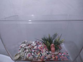 Acquario con sassolini colorati e pianta in plasti