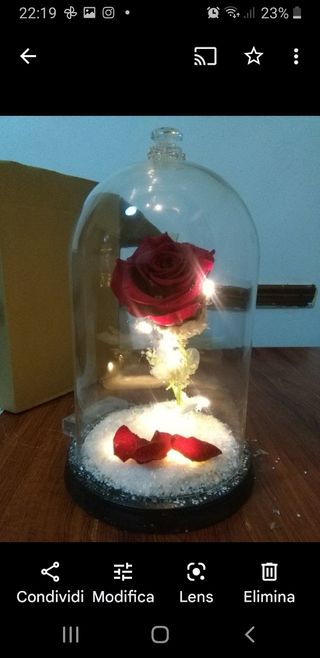 Rosa eterna nella campana 