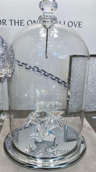 Display campana Swarovski nuova 