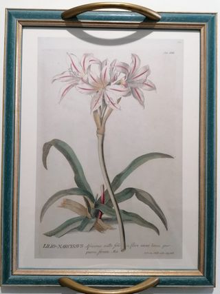 Vassoio con stampa botanica