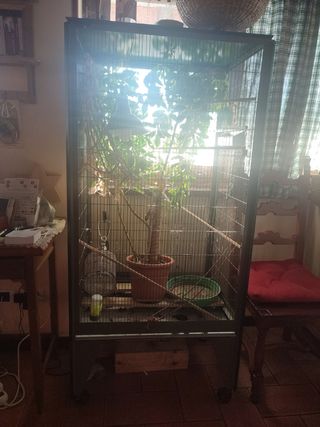 gabbia voliera/terrario per rettili