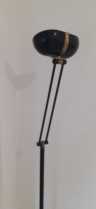 PIANTANA CON LUCE REGOLABILE