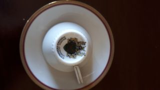 Servizio caffè in porcellana 12 persone
