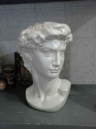 statua testa di David di Michelangelo gesso