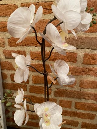 orchidea finta con vaso rosso