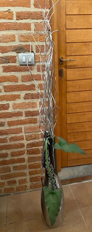 vaso con rami e foglie