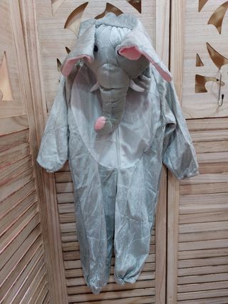 Vestito di carnevale