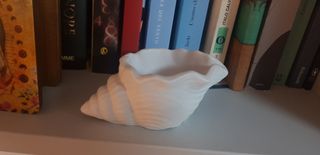 vaso vasetto conchiglia in gesso 