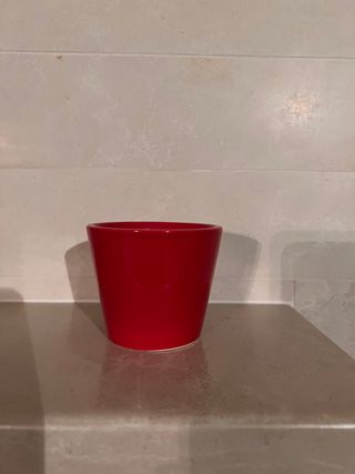 Vasetto porta pianta
