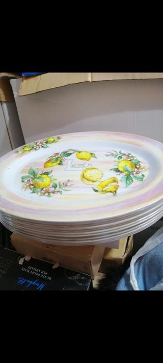 12 vassoi melanina con limoni