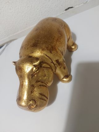 Ippopotamo valle d'oro 