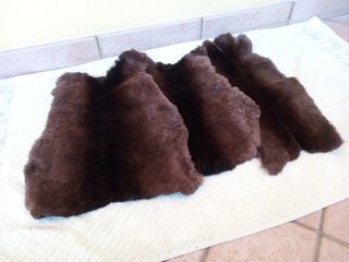 Vera pelliccia francese (x3)