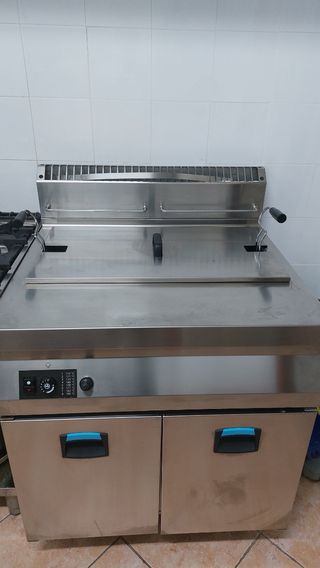 friggitrice professionale