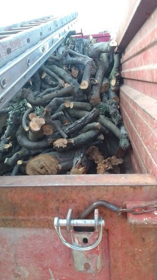 legna ulivo da ardere