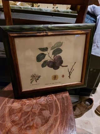 quadro rettangolare 40x35