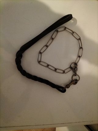 collare e guinzaglio