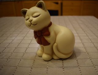 Gatto Thun