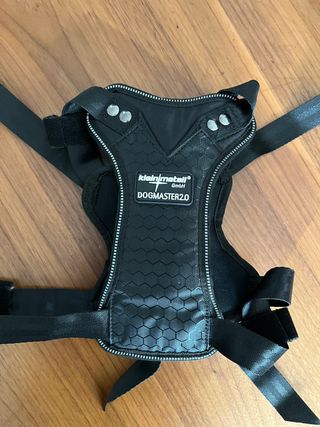 Cintura omologata per cani S