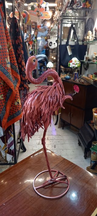 piccolo fenicottero all'attacco