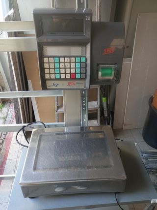 Bilancia professionale