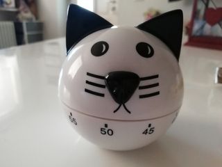 Timer gatto