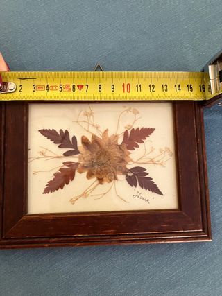 Quadretto in legno con all'interno fiori secchi 