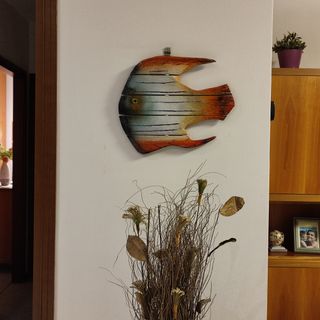 Pesce angelo  stilizzato 