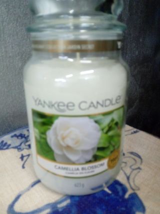Yankee candle 🤩camelia blossoms 🤩new