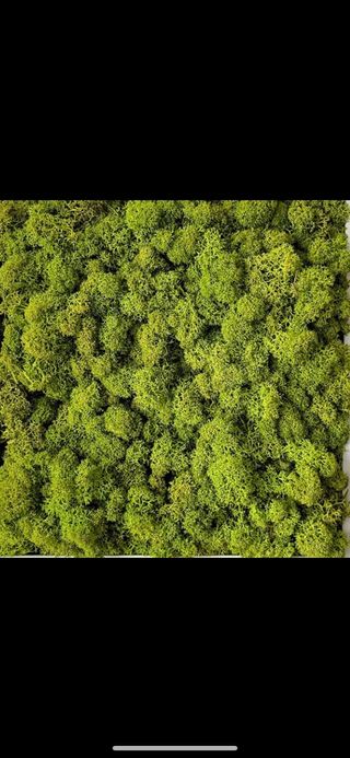 Mischio verde stabilizzato