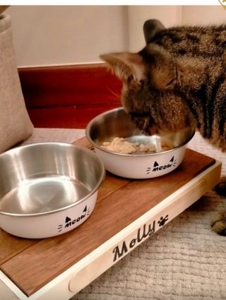 porta ciotole da poter personalizzare con nome per