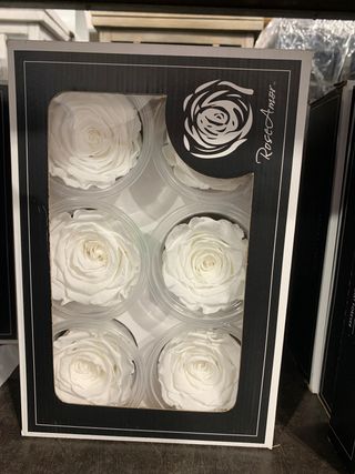 Rose stabilizzate 6 pz. Vari colori disponibili