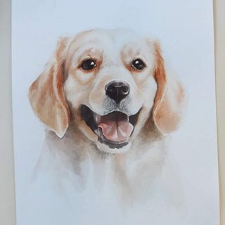 Ritratto personalizzato cane o gatto acquerello