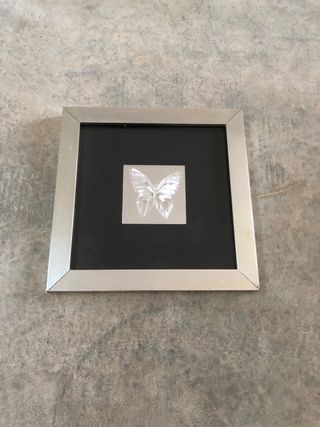 Quadretto con farfalla 