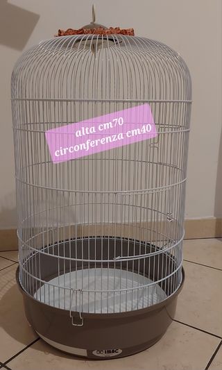 grande gabbia 