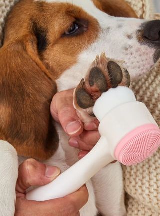 Spazzola per la pulizia delle zampe del cane