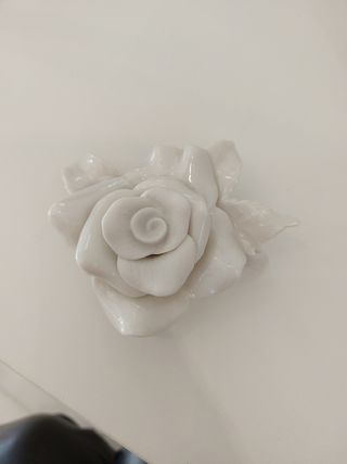 rosa porcellana lucida bianca